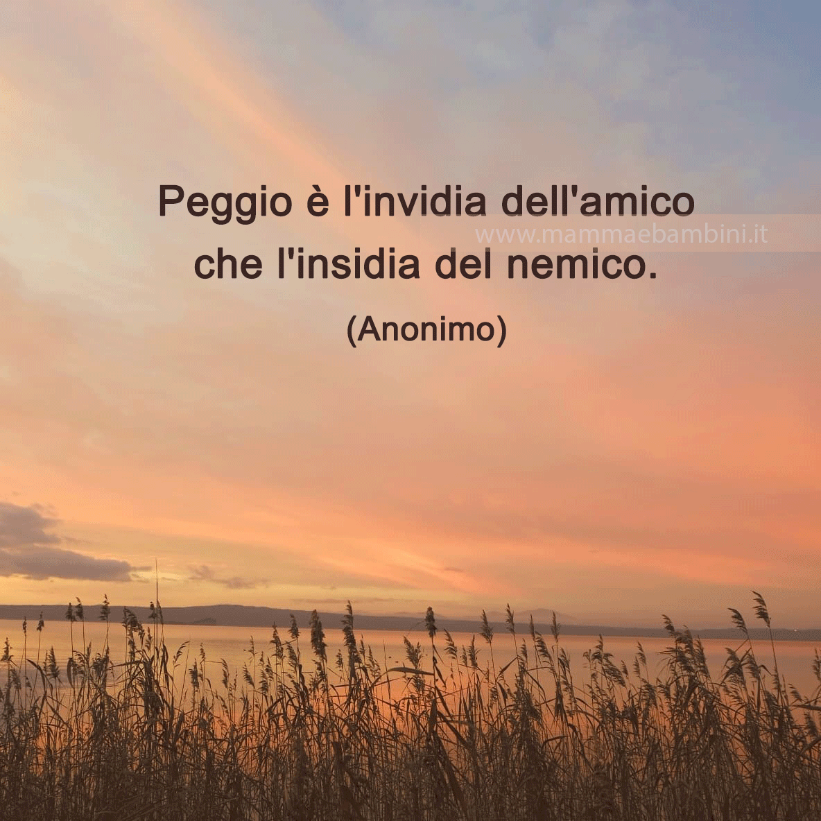 Frase del giorno 17 settembre sull'invidia - Mamma e Bambini