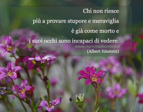 Frase del giorno 7 febbraio sulla meraviglia - Mamma e Bambini