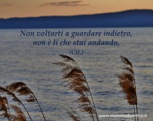 Frase del giorno 6 febbraio su guardare - Mamma e Bambini