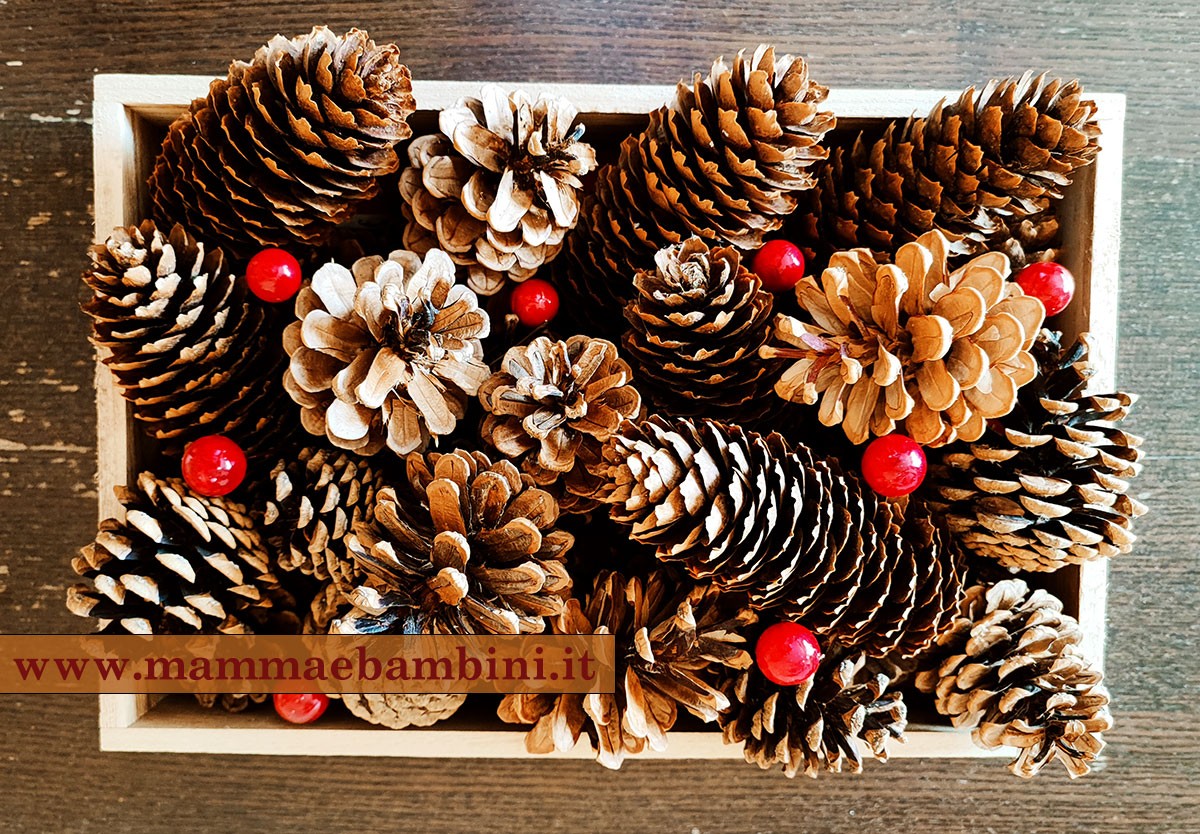 Composizione con pigne per arredare casa - Mamma e Bambini