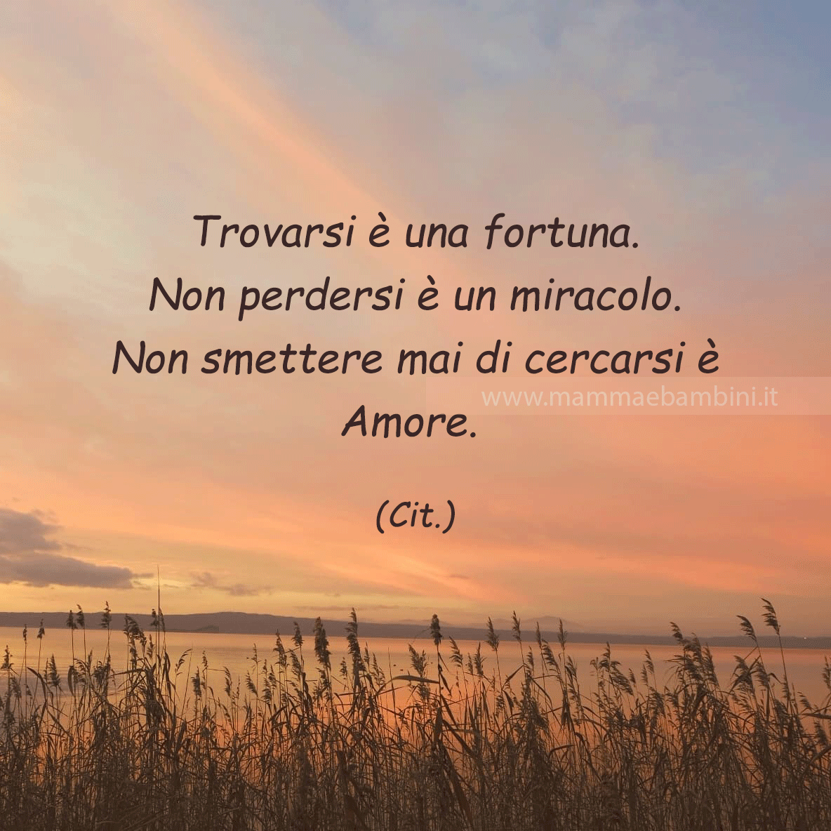 Frase del giorno 7 maggio sull'amore - Mamma e Bambini