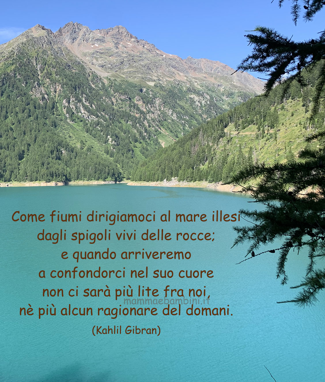 Frase del giorno 7 febbraio su vita - Mamma e Bambini