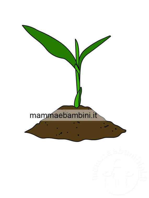 Germoglio pianta - Mamma e Bambini